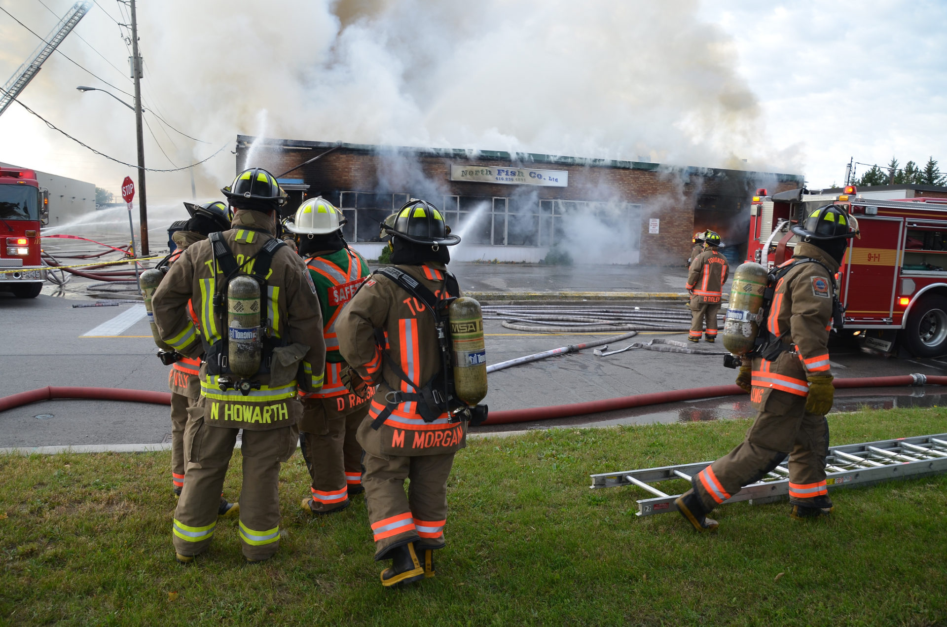 Large Loss • Commerical Loss • 24/7/365 • GTA Region • Leda Restoration